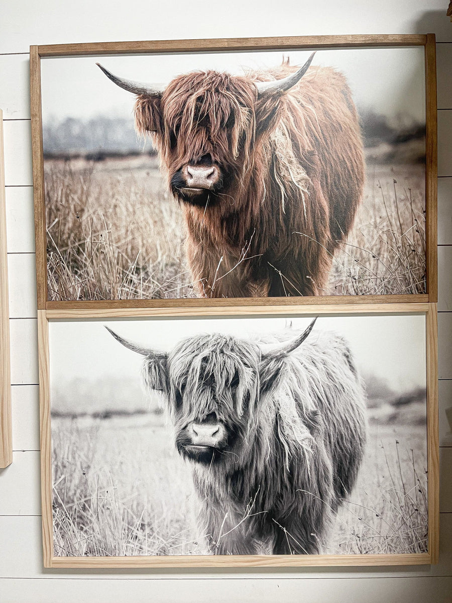 Highland Cow Print | Longhorn Print | Farm Animal Art | Cow Print | Hi ...